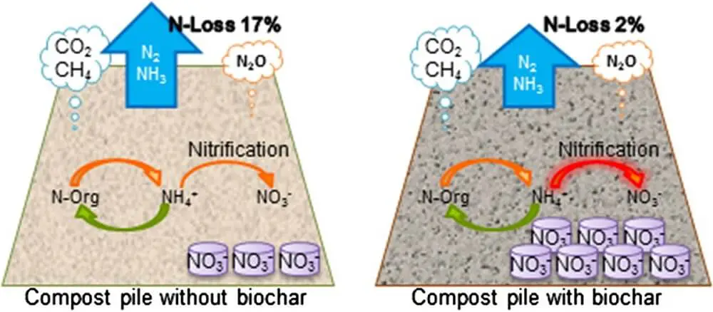 Benefits Biochar In Composting Why You Should Use
